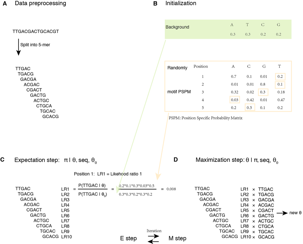 Motif搜索算法 | aibiology